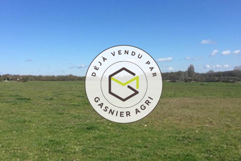 Vente exploitation maraîchère en France | Gasnier Agri